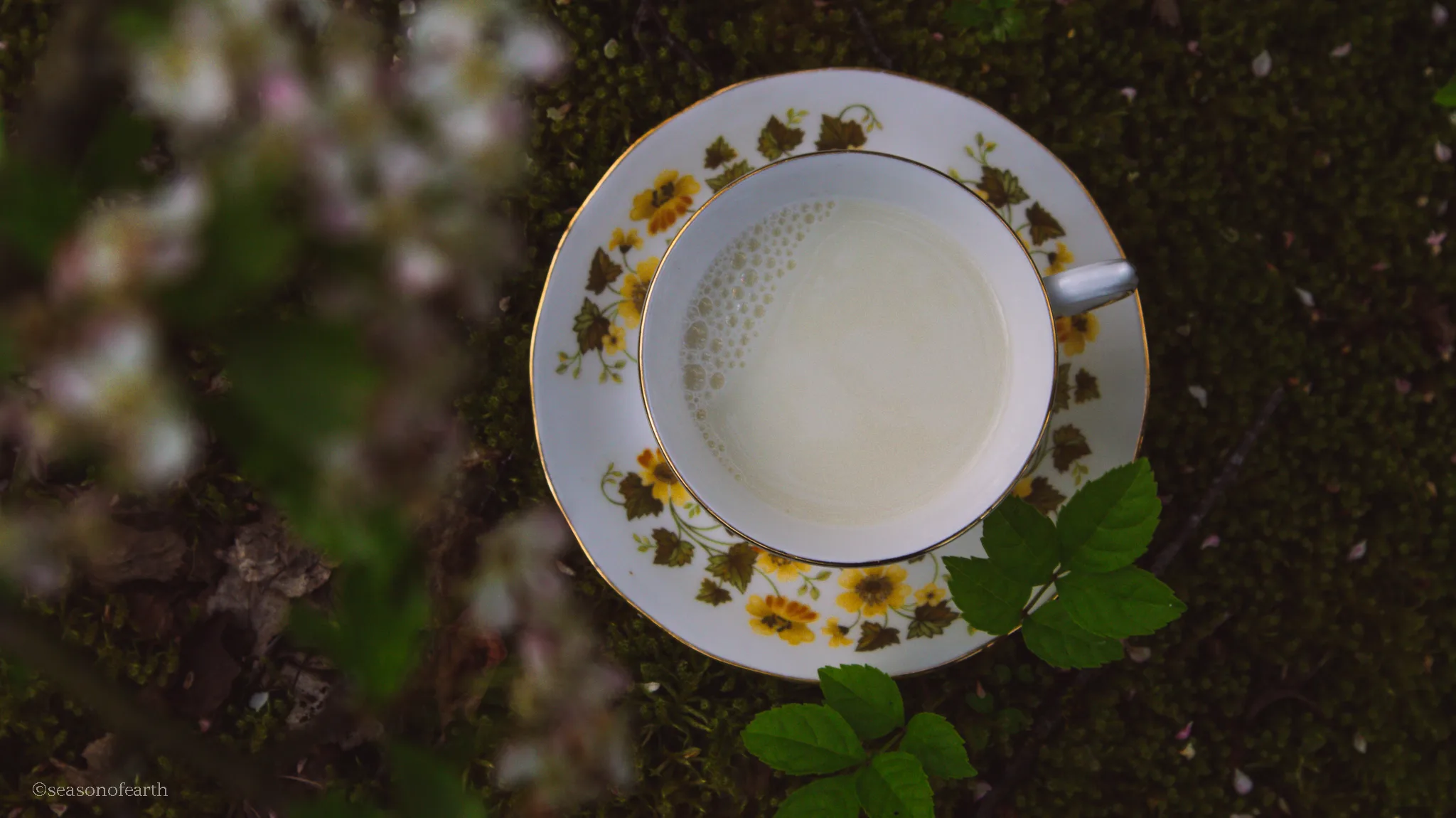 What do fairies eat? A History of Fairy Foods